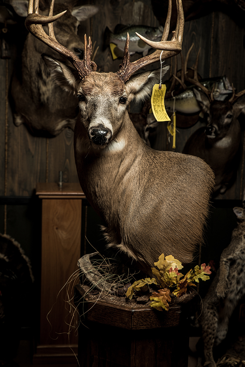 The Art of the Personal Project: Matt Odom – A Photo Editor