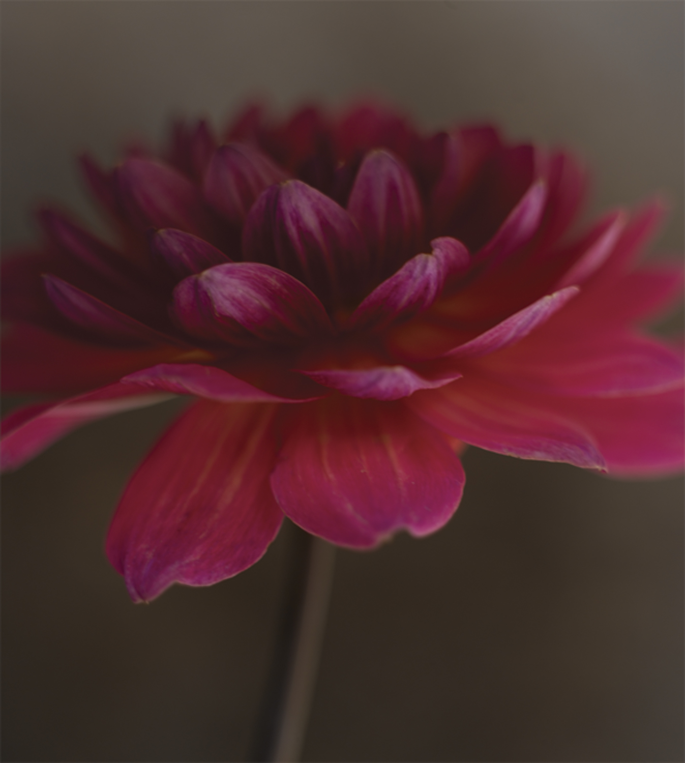 The Art of the Personal Project: Amy Neunsinger – A Photo Editor