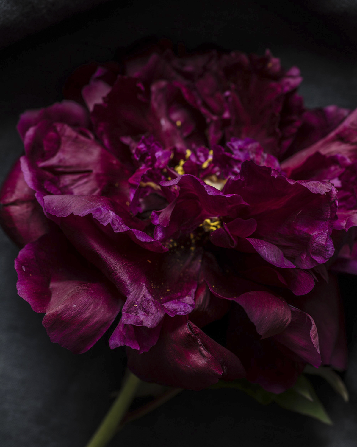 The Art of the Personal Project: Amy Neunsinger – A Photo Editor
