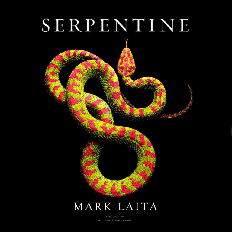 The Art of the Personal Project: Mark Laita – A Photo Editor
