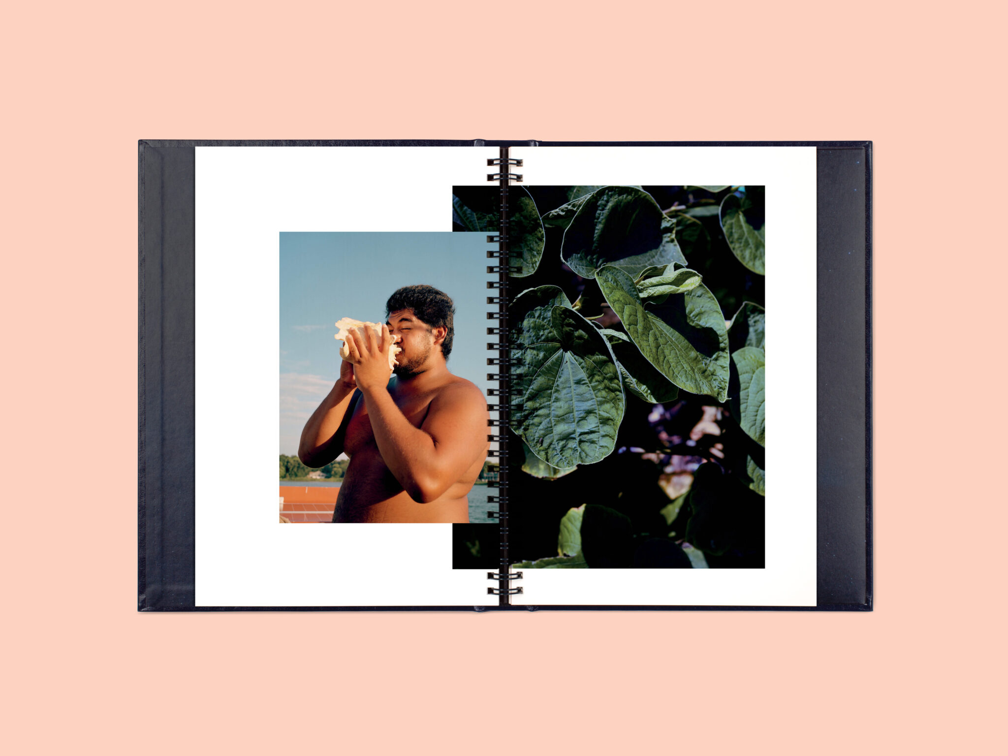 The Daily Edit – Conveyor Studio – A Photo Editor